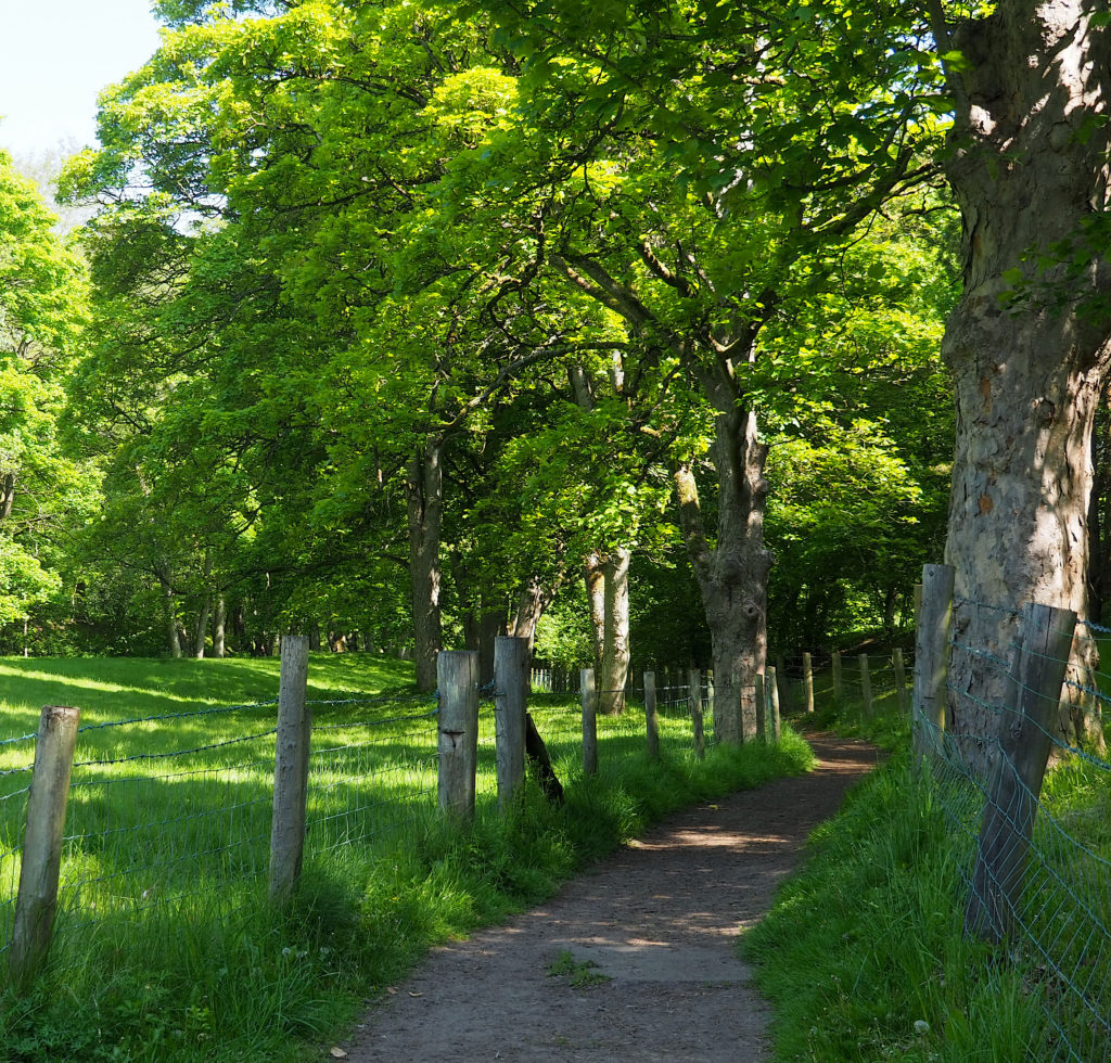 The walk from Thornton le Dale to Ellerburn - Silver Travel Advisor