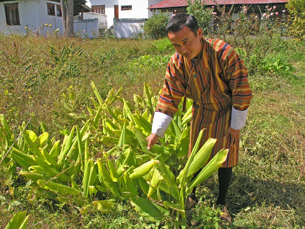Bhutan: 800 Million Trees, Progress and Tradition - Silver Travel Advisor