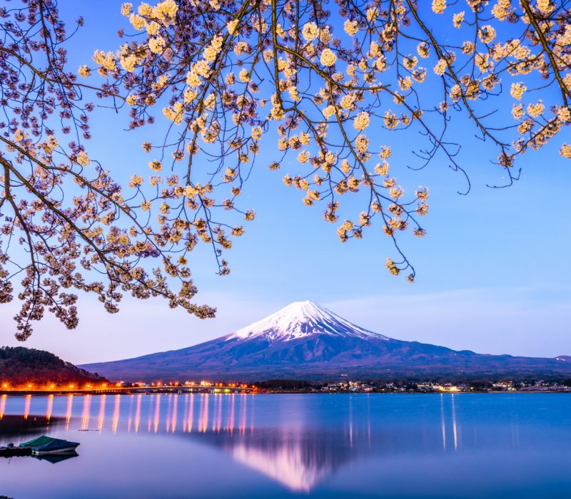 Solo / Single Holidays to Japan for travellers over 50 - Silver Travel